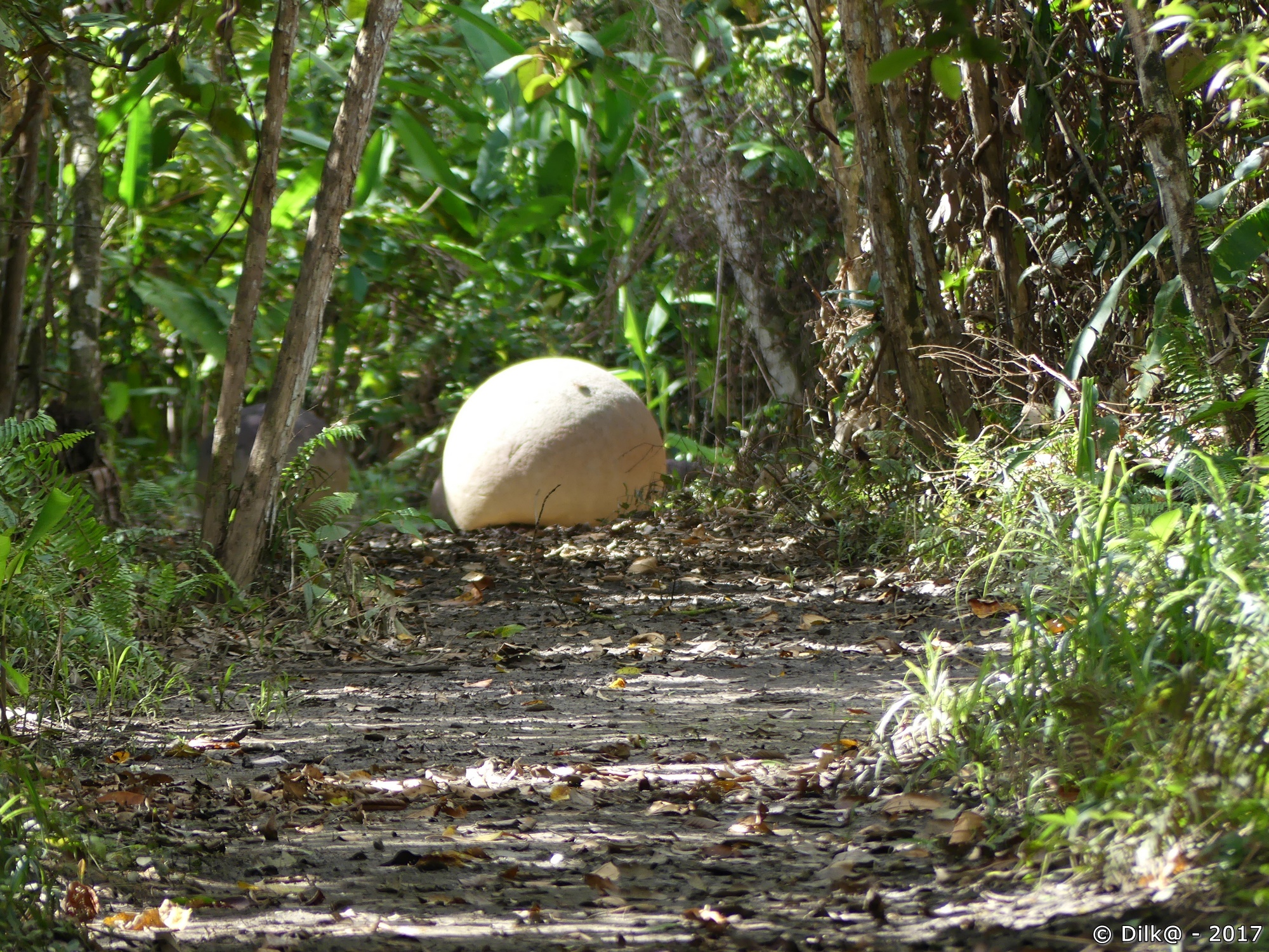 Le mystère des sphères de Diquis - Voyager, découvrir, partager