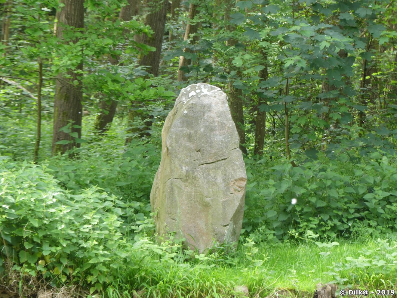 Moulins et menhirs le long de l'Yerres - Voyager, découvrir, partager