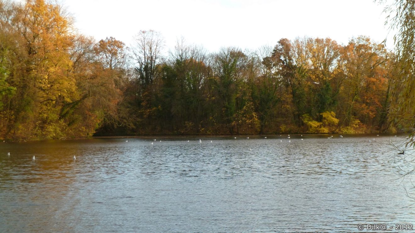 Le Lac des Minimes - Voyager, découvrir, partager